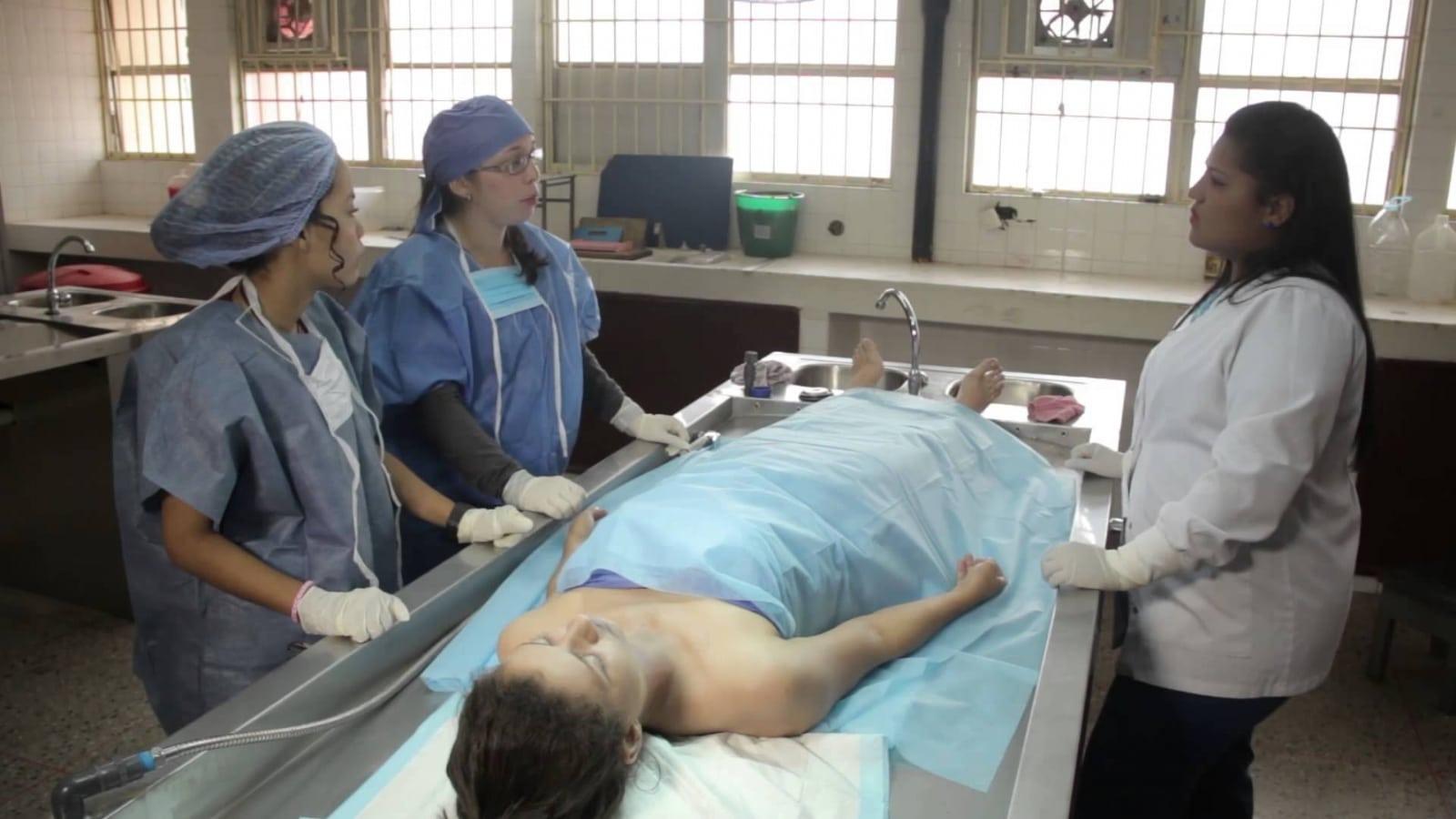 Médico forense - Profesiones y Estudios, Orientación Laboral